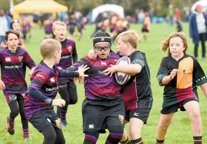 In pictures: Mini's rugby festival at Maidenhead Rugby Club - Photo 1 ...