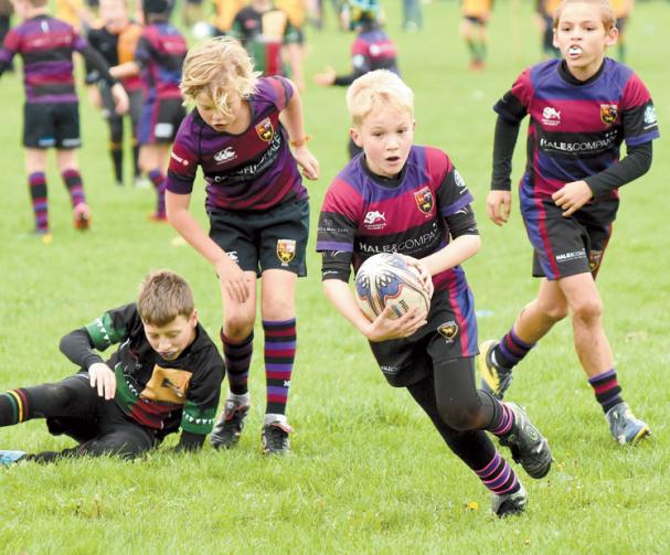 In pictures: Mini's rugby festival at Maidenhead Rugby Club - Photo 1 ...