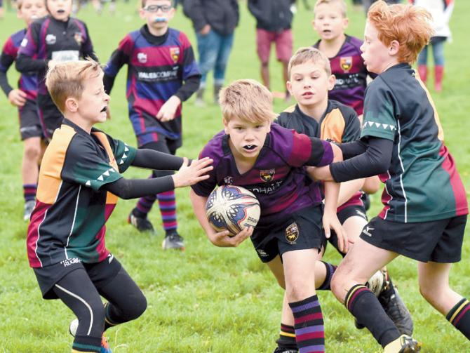 In pictures: Mini's rugby festival at Maidenhead Rugby Club - Photo 1 ...
