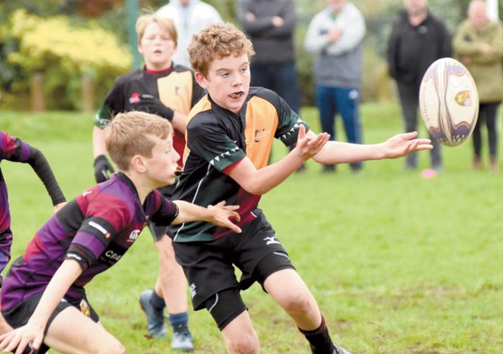 In pictures: Mini's rugby festival at Maidenhead Rugby Club - Photo 1 ...