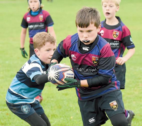 In pictures: Mini's rugby festival at Maidenhead Rugby Club - Photo 1 ...