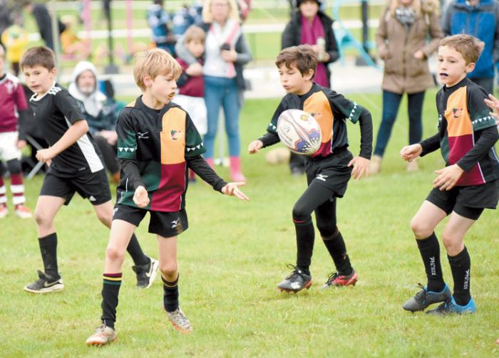 In pictures: Mini's rugby festival at Maidenhead Rugby Club - Photo 1 ...