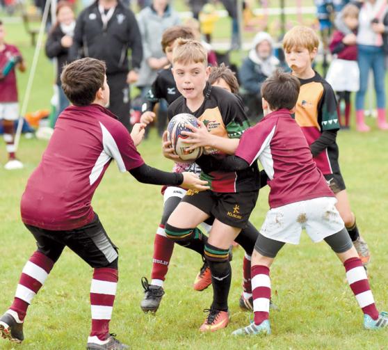 In pictures: Mini's rugby festival at Maidenhead Rugby Club - Photo 1 ...