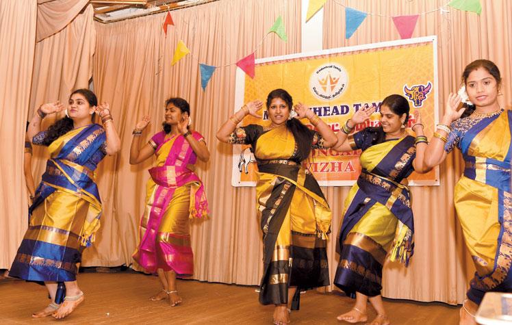 Tamil Harvest Festival celebrated with dance and traditional feast ...