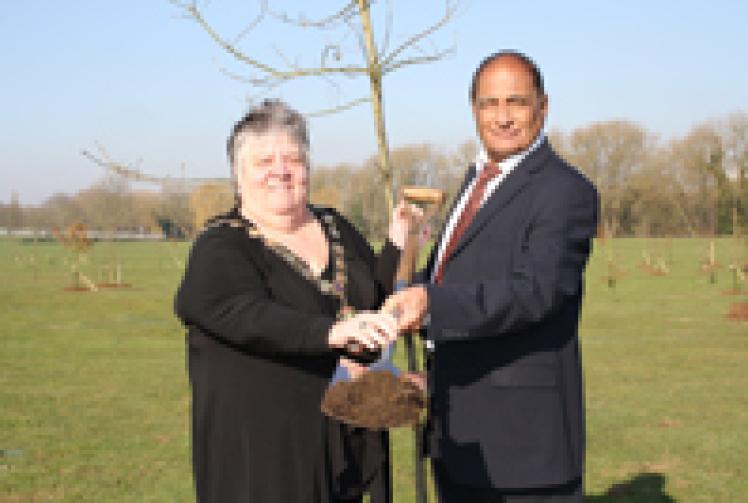 Mayor of Slough plants first oak tree for Jubilee Wood - Maidenhead ...