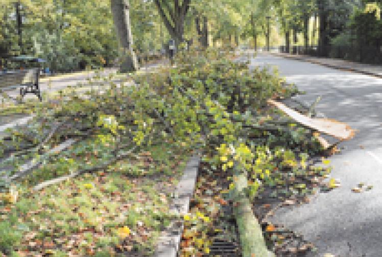 Slough braced for stormy weather - Maidenhead Advertiser