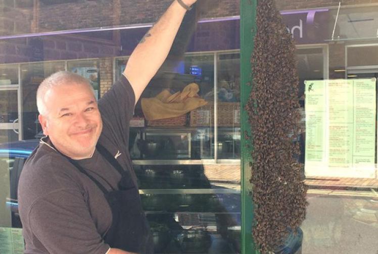 Green Parrot cafe still open for business despite army of bees swarming ...
