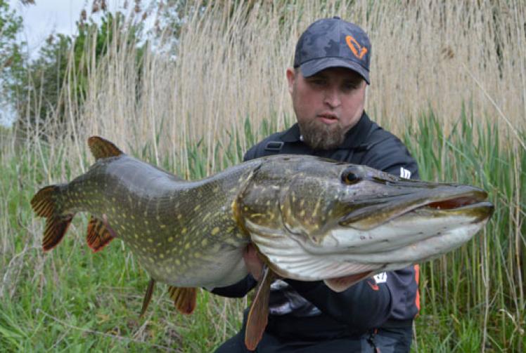 pike record uk
