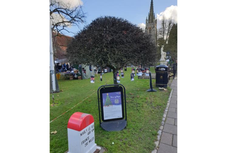 Marlow 'Tree of Hope' blossoms to raise thousands for charity ...