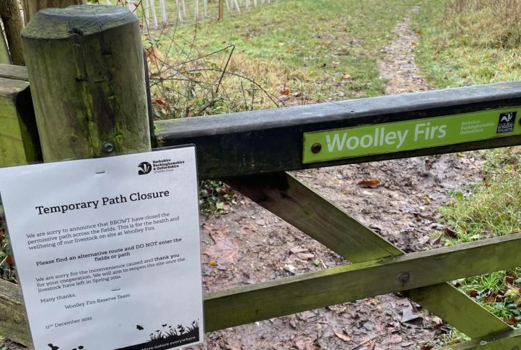 Footpath closed until spring after cows quarantined in Woolley Firs ...