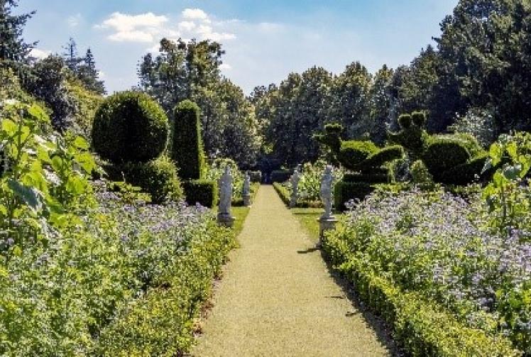 Limited access to historic Cliveden garden as National Trust begins ...