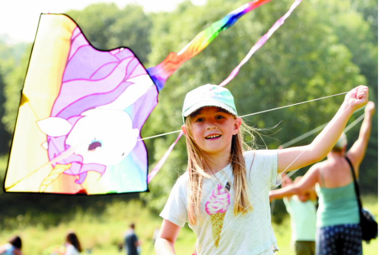 Colourful kites to fly at Norden Farm's annual Kite Festival - Photo 1 ...