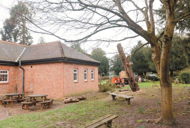 Investment promised for Braywick Park after trees are controversially ...