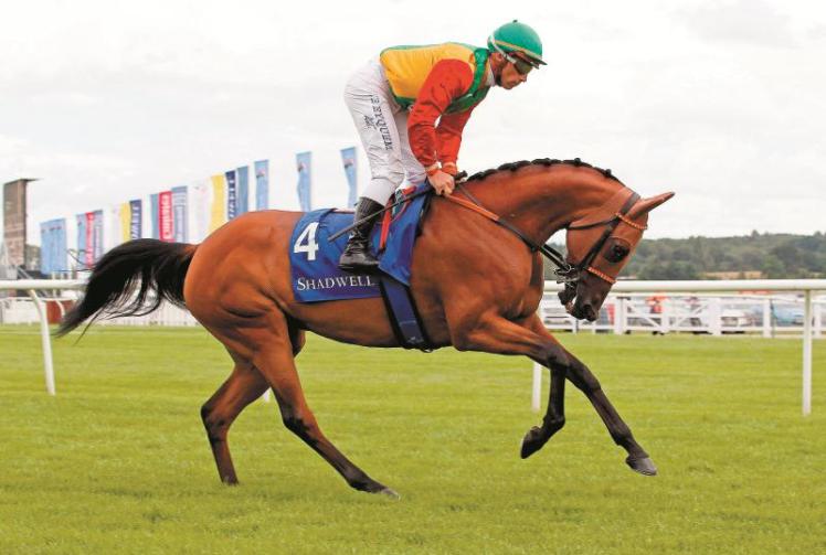 Arabian racing comes to Royal Windsor Racecourse - Photo 1 of 1 ...