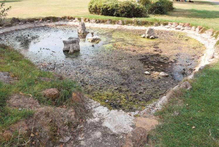 Kidwells Park ponds to be cleaned and re-filled - Photo 1 of 1 ...