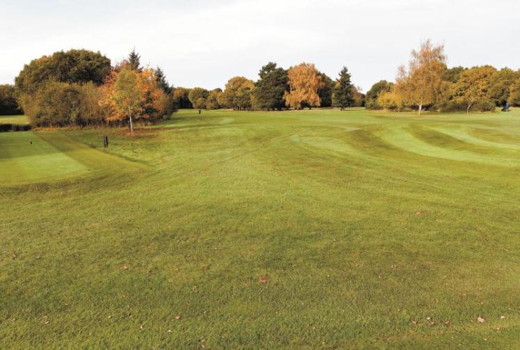 Second Maidenhead Golf Course petition launched ahead of crucial BLP ...