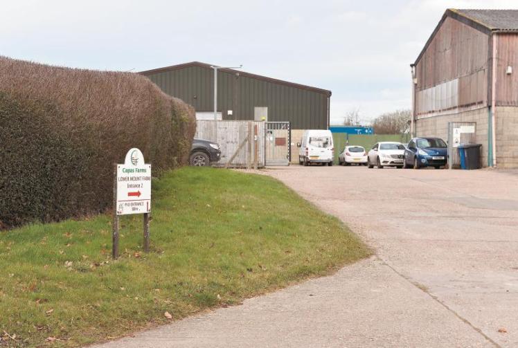 New stables in Cookham greenbelt approved - Photo 1 of 1 - Maidenhead ...