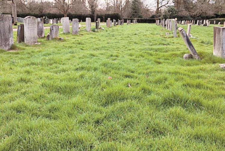 Concerns raised over repeat of cemeteries overgrowth - Photo 1 of 1 ...