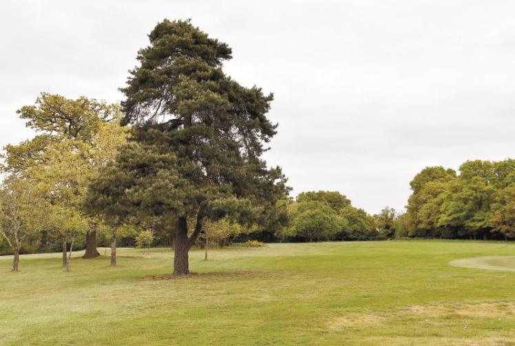 Name revealed for 2,000 home Maidenhead Golf Course development - Photo ...