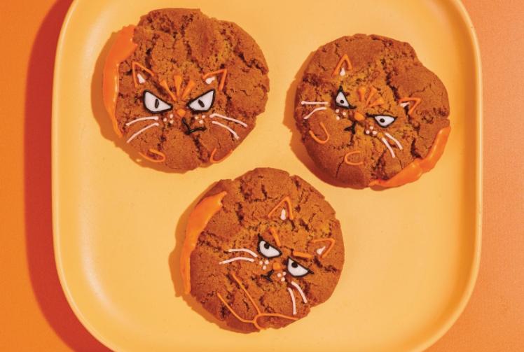 Recipe Zone: Kim-Joy's ginger snap cats - Photo 1 of 1 - Maidenhead Advertiser