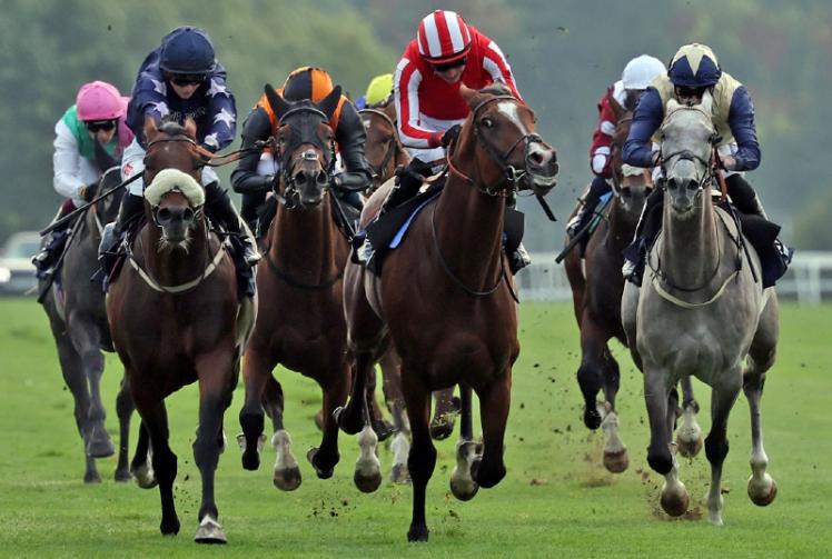Brave Call beats No Retreat as Doyle's dash for the finish line at ...