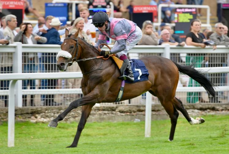 Shrimp Shady wins at Windsor in the hands of Oisin Murphy - Photo 1 of ...