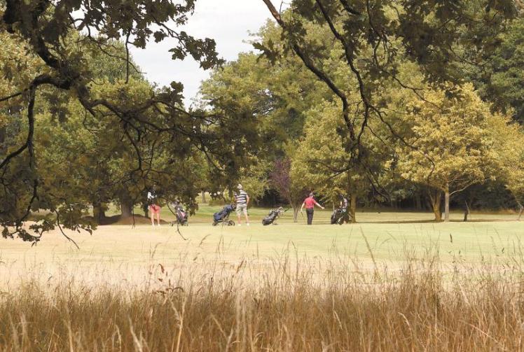 Viewpoint: 'True value' of Maidenhead golf course is as green space ...