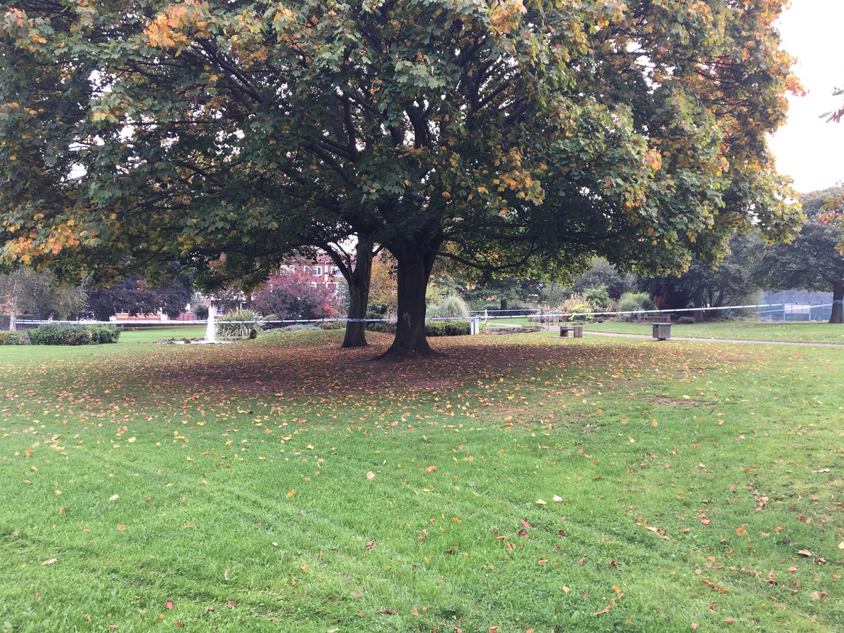 UPDATE: Man arrested on suspicion of attempted murder after teenage boy ...