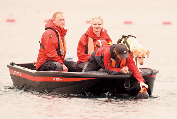 The life-saving work of Berkshire Search Dogs - Photo 1 of 1 ...