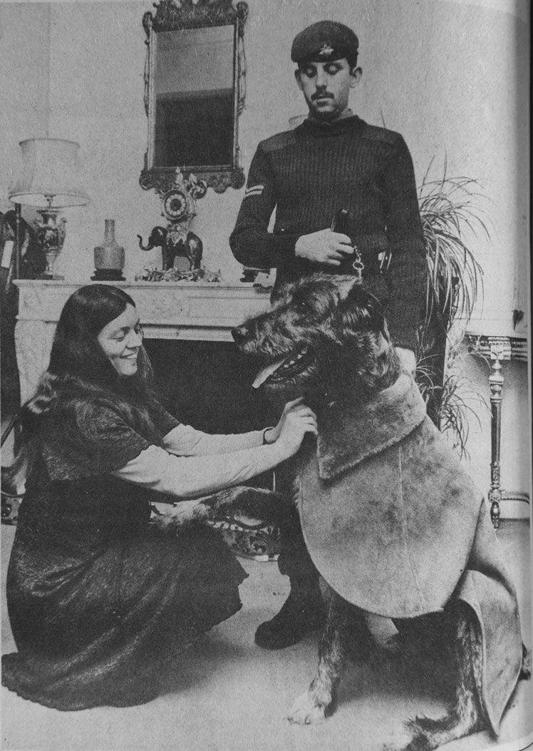 Remember When: Suited dogs, Mary Poppins and a sponsored swim - Photo 1 ...