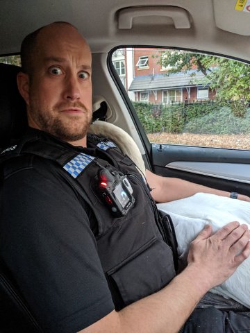 Police rescue 'dazed' swan from M4 - Maidenhead Advertiser