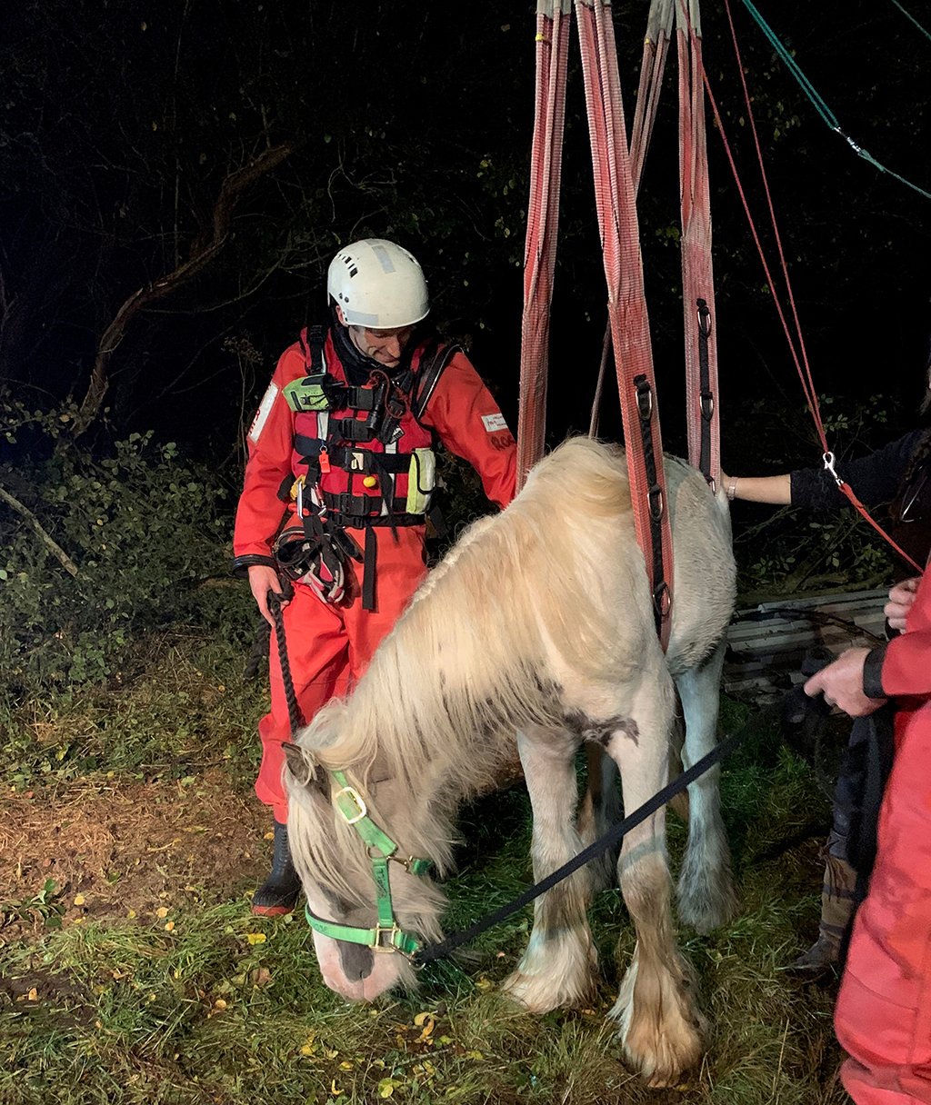 Firefighters rescue horse from pit in Wexham - Windsor Express