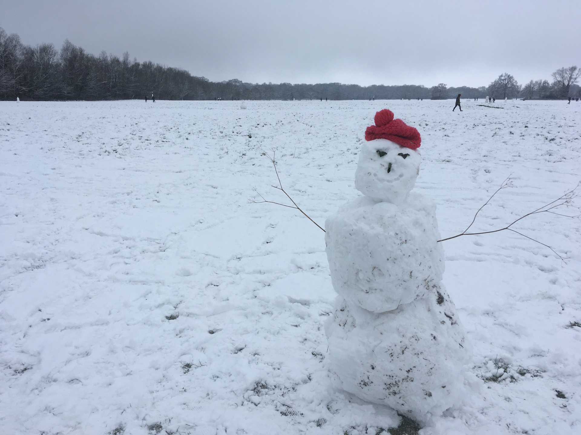 Maidenhead experienced 'rare' two inches of snow - Slough Express