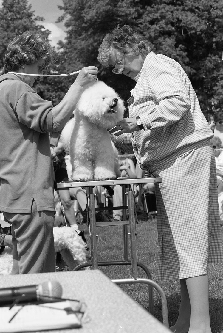Remember When: Warren Row nuclear shelter went up for sale - Photo 1 of ...