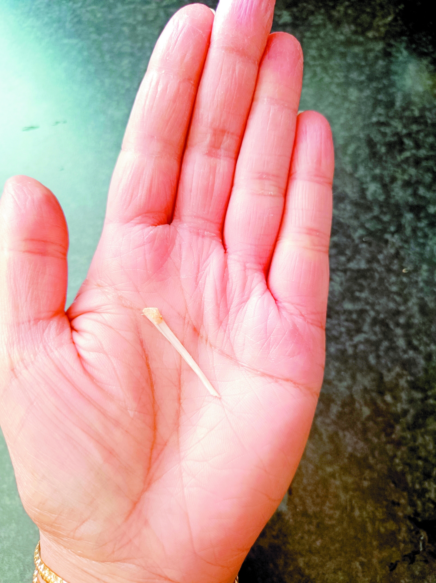 Slough mum unhappy with Iceland response after discovery of large bone ...