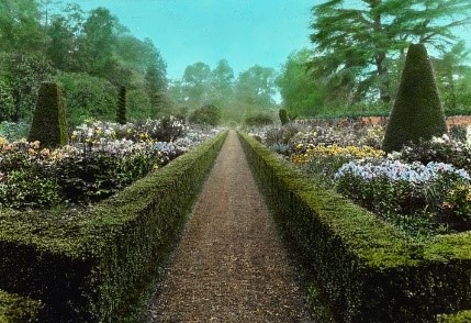 Limited access to historic Cliveden garden as National Trust begins ...